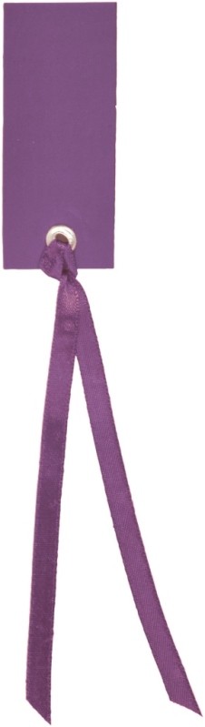 Etiquette rectangle prune avec ruban les 12 Etiquettes Marque-place